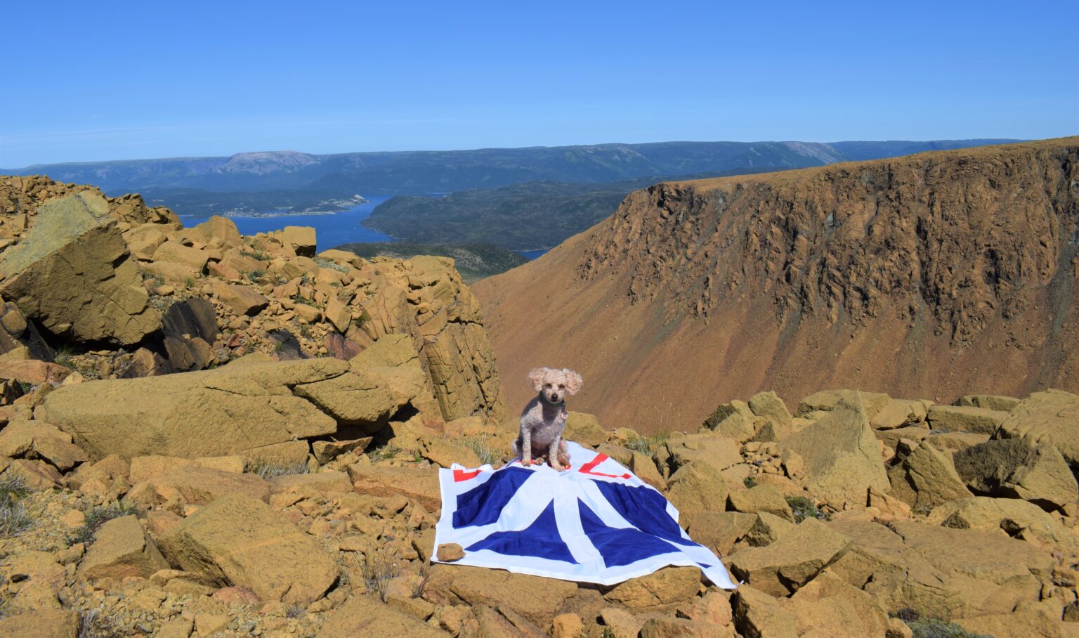 Top 5 Outdoor Leisure Activities in Newfoundland & Labrador – Next Stop ...