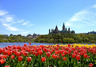 Canadian City Spotlight: Ottawa, Ontario – Next Stop Canada
